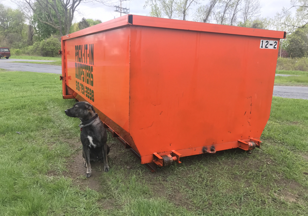 4 Tips For Dumpster Rentals